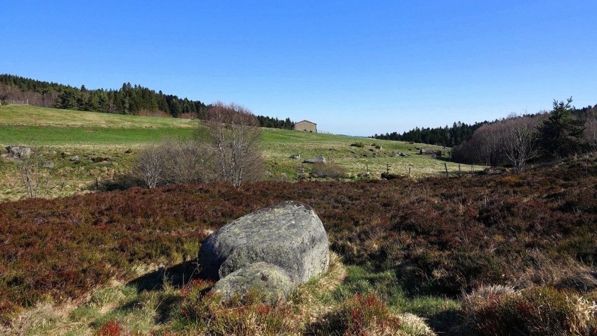Roche Gourgon (1420m) - Circuit de la Pierre qui sonne - Randonnée ...