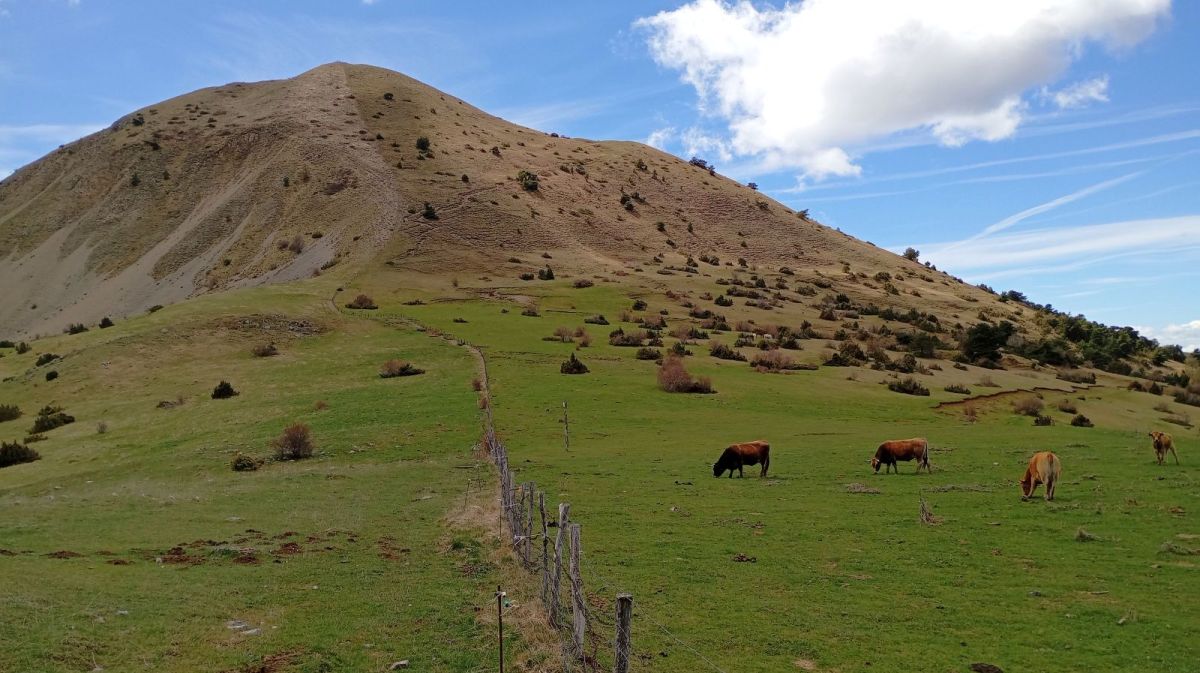 Grande Gautière (1825m) et Crête de Picouse (1667m) par Gierre ...