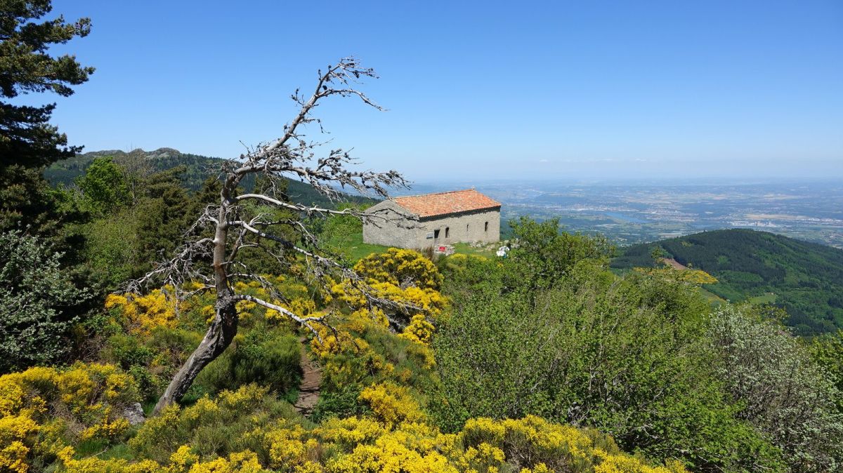 Crêt de Saint-Sabin (1128m) et les Trois Dents (1213m), en boucle par ...