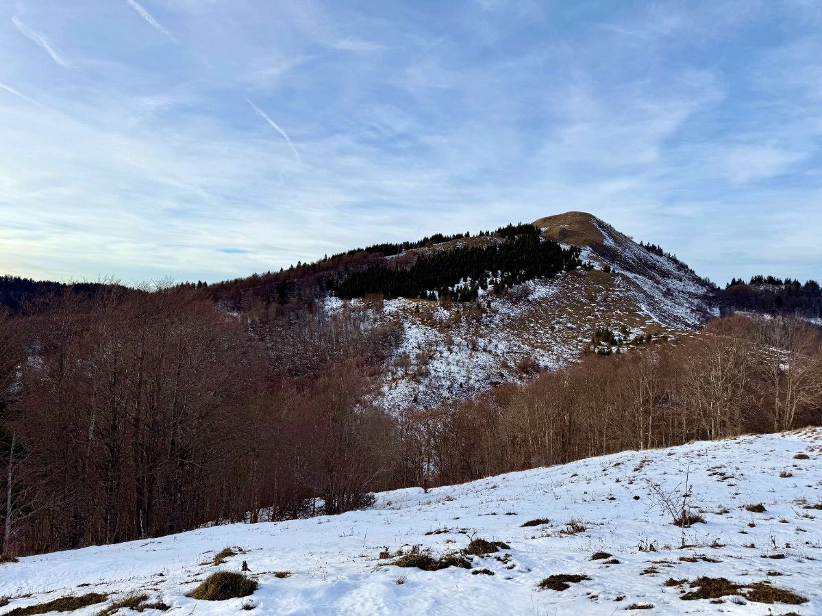 Crêt de Chalam (1540m) en boucle par la Montagne des Moines - Randonnée ...
