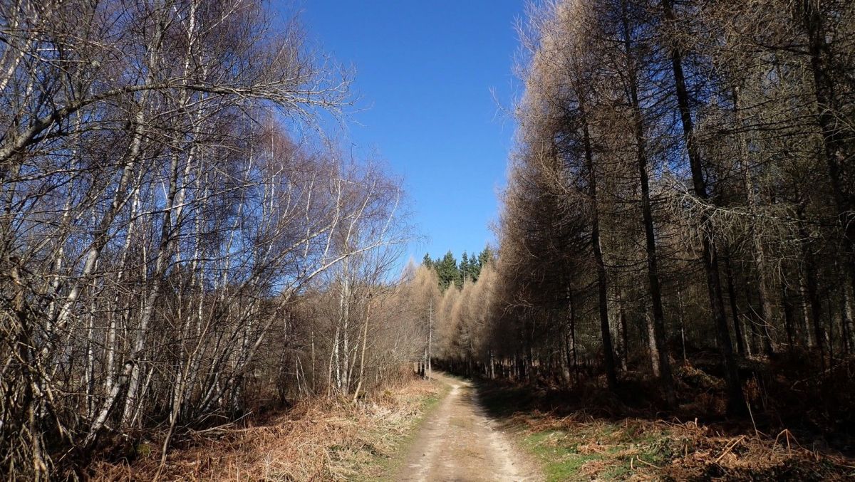 Au fil de l'Ance et des moulins - PR 1B - Randonnée Monts du Forez ...