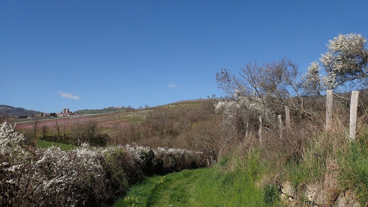 Saint-Didier-sous-Riverie - Lac de la Madone en boucle - Randonnée ...