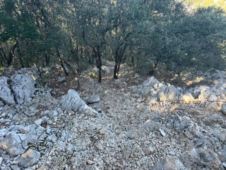 Le Ravin des Arcs - Randonnée Cévennes - Saint-Martin-de-Londres