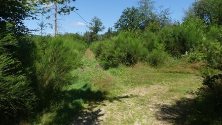 Tureau des Grands Bois (800m) et site gallo-romain des Bardiaux ...