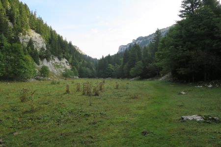 Croix de l'Alpe (1822m) par les Varvats - Randonnée Chartreuse - Saint ...