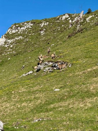 L'Alpette boucle du Col de l'Alpette à la Porte de l'Alpette ...