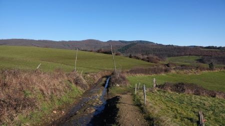 Circuit du crêt Saint-Georges par Chavanne - Randonnée Monts du ...