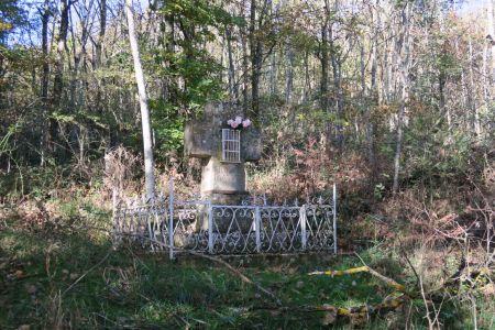 Circuit du crêt Saint-Georges par Chavanne - Randonnée Monts du ...