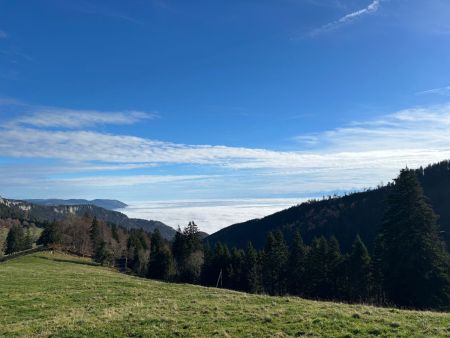 Le Suchet (1588m) par Grange Neuve - Randonnée Jura