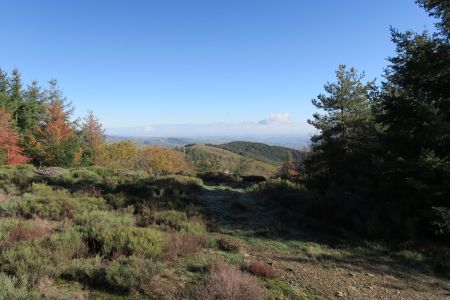 Circuit du crêt Saint-Georges par Chavanne - Randonnée Monts du ...