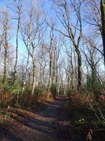 Mont Mourex (754m) - Randonnée Jura - Divonne-les-Bains