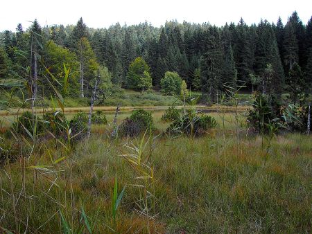 Réserve Naturelle du lac Luitel (1262m) - Randonnée Belledonne - Saint ...