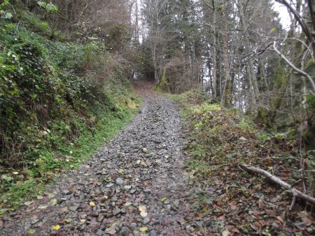 Lac Luitel par le col de la Madeleine et Buissonnière - Randonnée ...