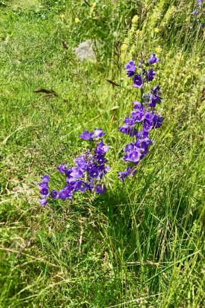Aiguillettes de Vaujany (2547m) en boucle par les cols du Couard et du ...