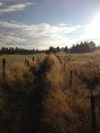 Le tour de l'Aubrac en cinq jours - Randonnée Monts d'Aubrac - Aumont ...