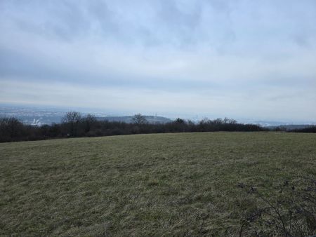 Mont Thou (611m), Mont Verdun (626m) et Croix Rampau par Curis-au-Mont ...