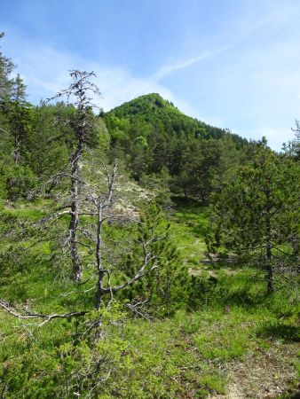 Autour du Col du Granier (1134m) - Randonnée Chartreuse - Entremont-le ...