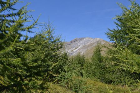 Crey Rond (2667m) - Randonnée Grandes Rousses / Arves - Valloire
