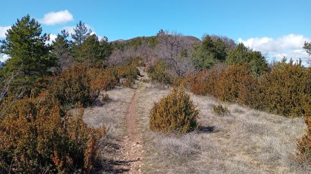 Crête est de la Montagne de Chabre (1352m) - Randonnée Massif des ...