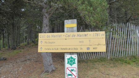 Roca Colom ou Roc Colom (2507m) par le col de Mantet - Randonnée ...