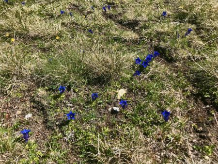 Le Grand Galbert (2561m) en boucle par la "toundra" et le Lac Fourchu ...